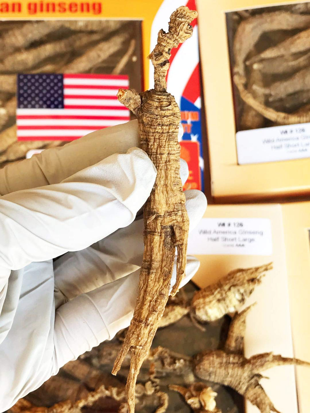 hand-selected ginseng for wellness