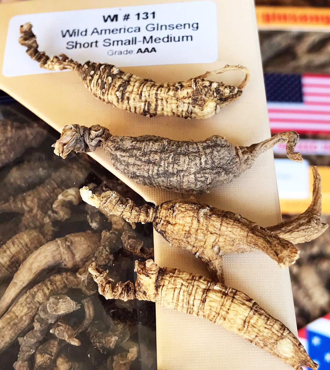 hand-selected Wisconsin ginseng benefits