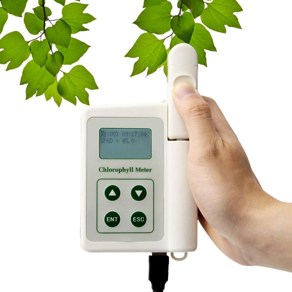 handheld chlorophyll meter for plants