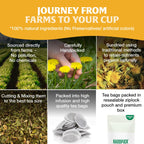 handpick dandelion tea for detox