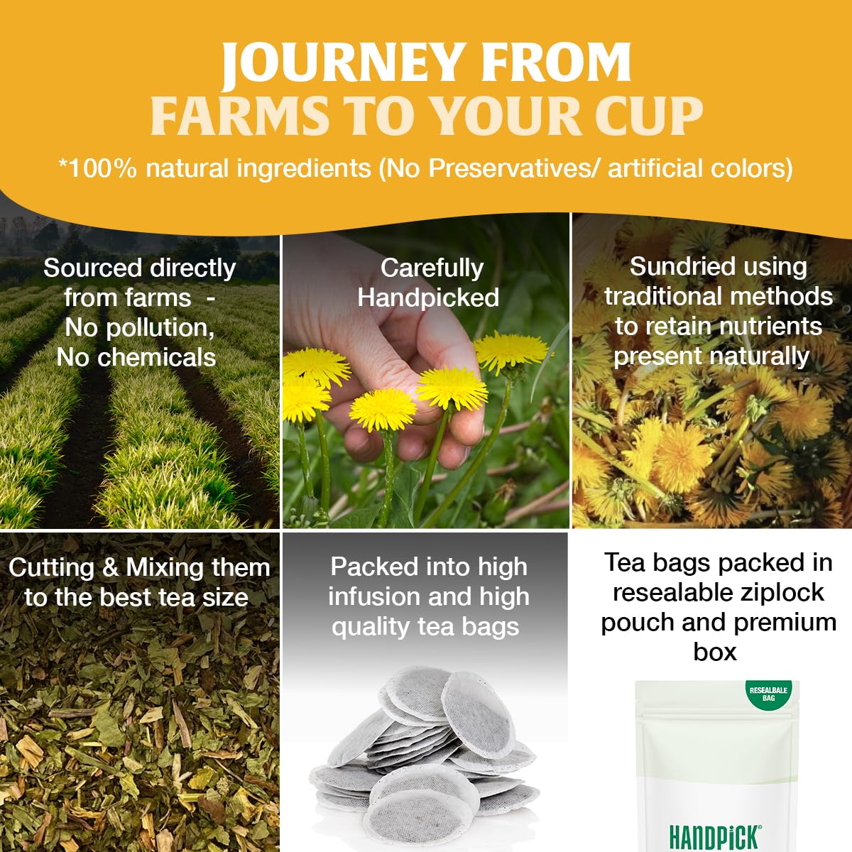 handpick dandelion tea for detox