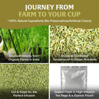 HANDPICK herbal tea for bloating