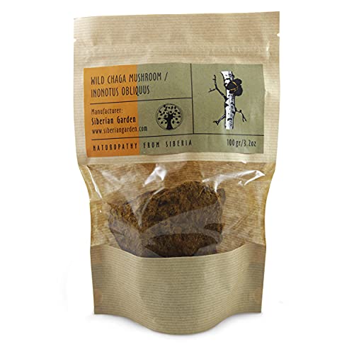 handpicked chaga mushrooms from Altai