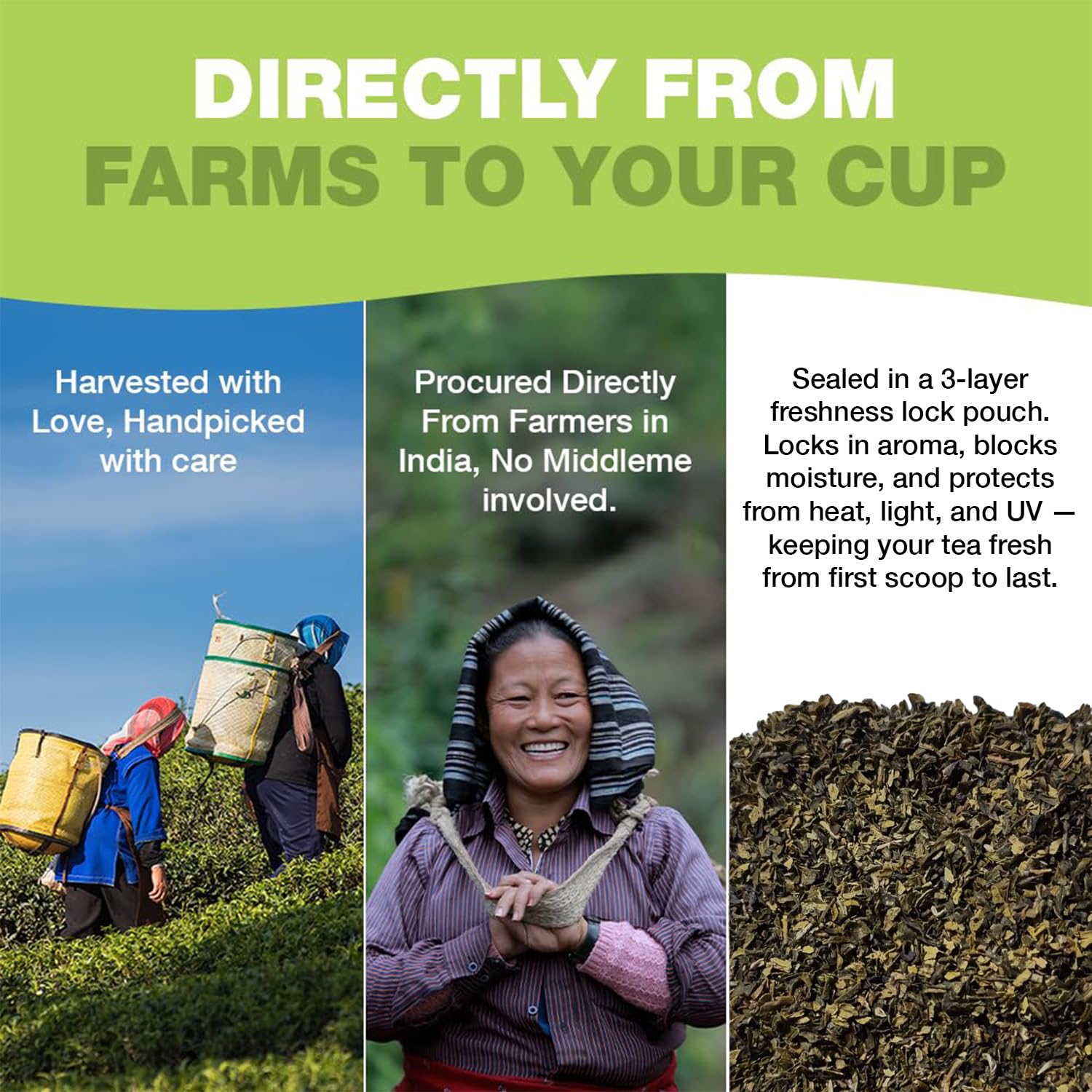 handpicked green tea for freshness