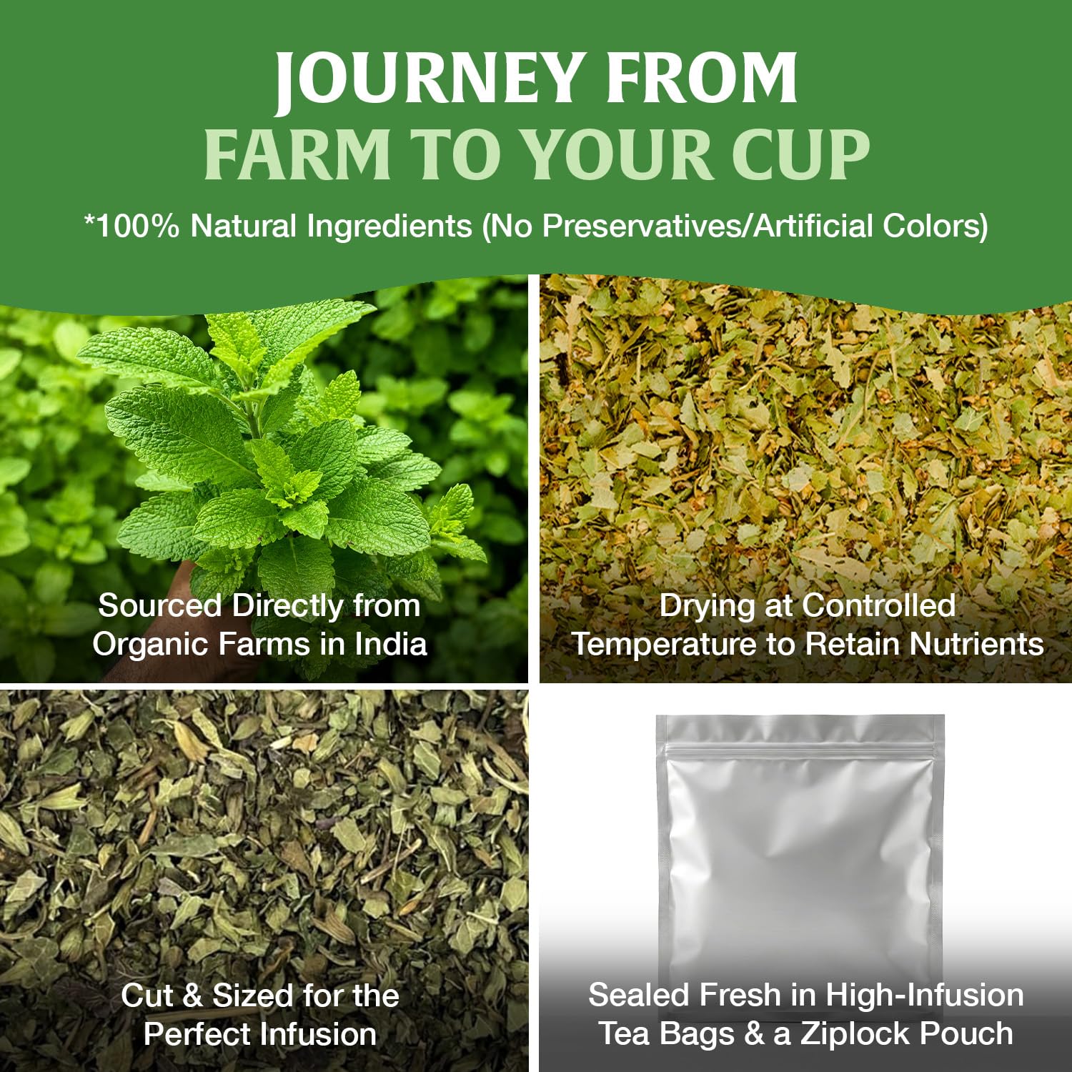 handpicked lemon balm herbal tea