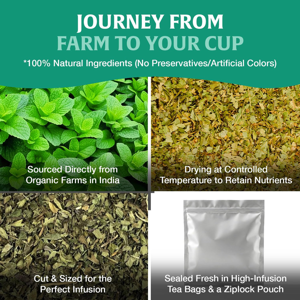 handpicked peppermint tea for freshness