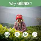 handpicked quality herbal tea selection
