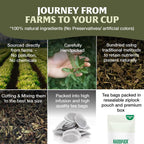 Handpicked Tulsi tea for wellness