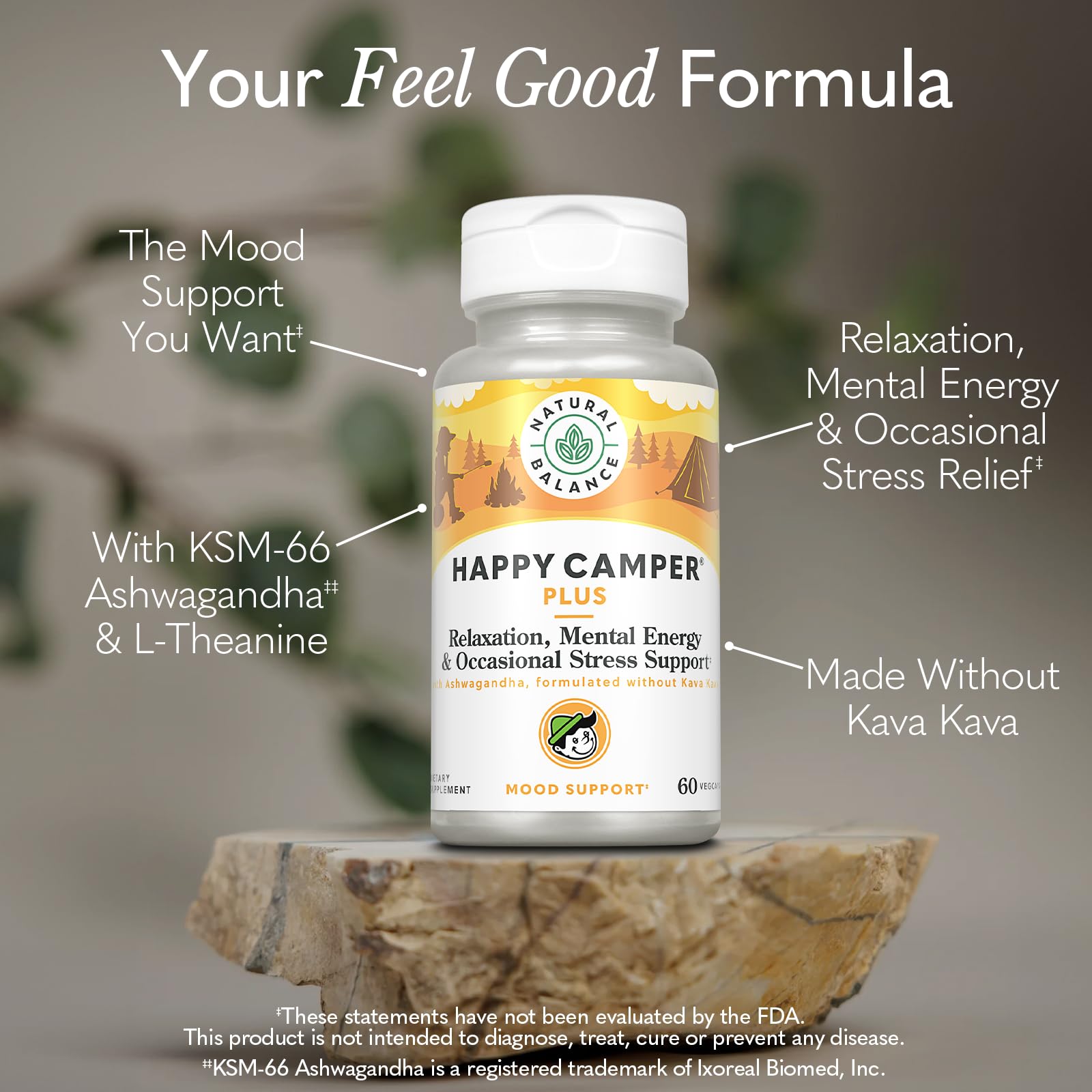 Happy Camper Plus supports immune health
