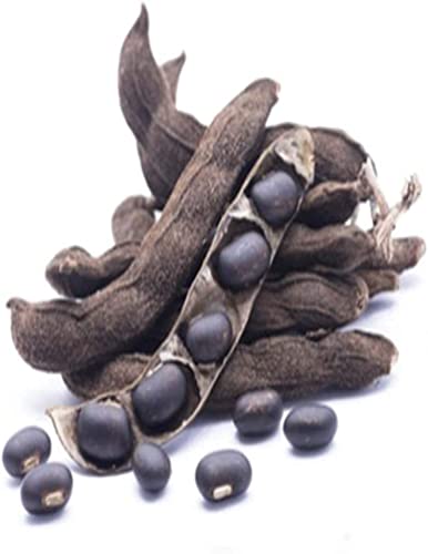 Hardia kaunch beej nutritional boost