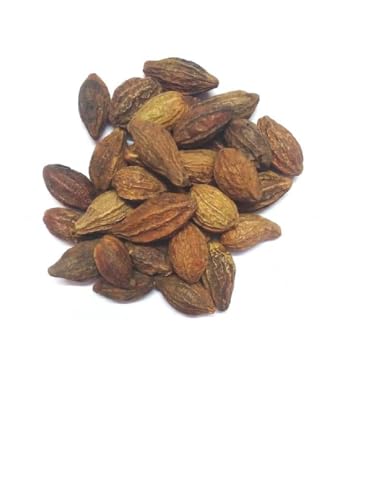 haritaki benefits for digestive health