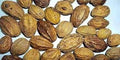 Haritaki herbal supplement for digestion