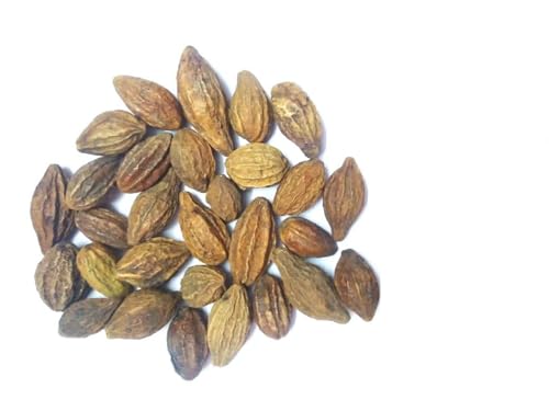 haritaki side effects and precautions