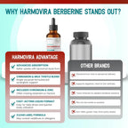 HarmoVira Berberine antioxidant properties