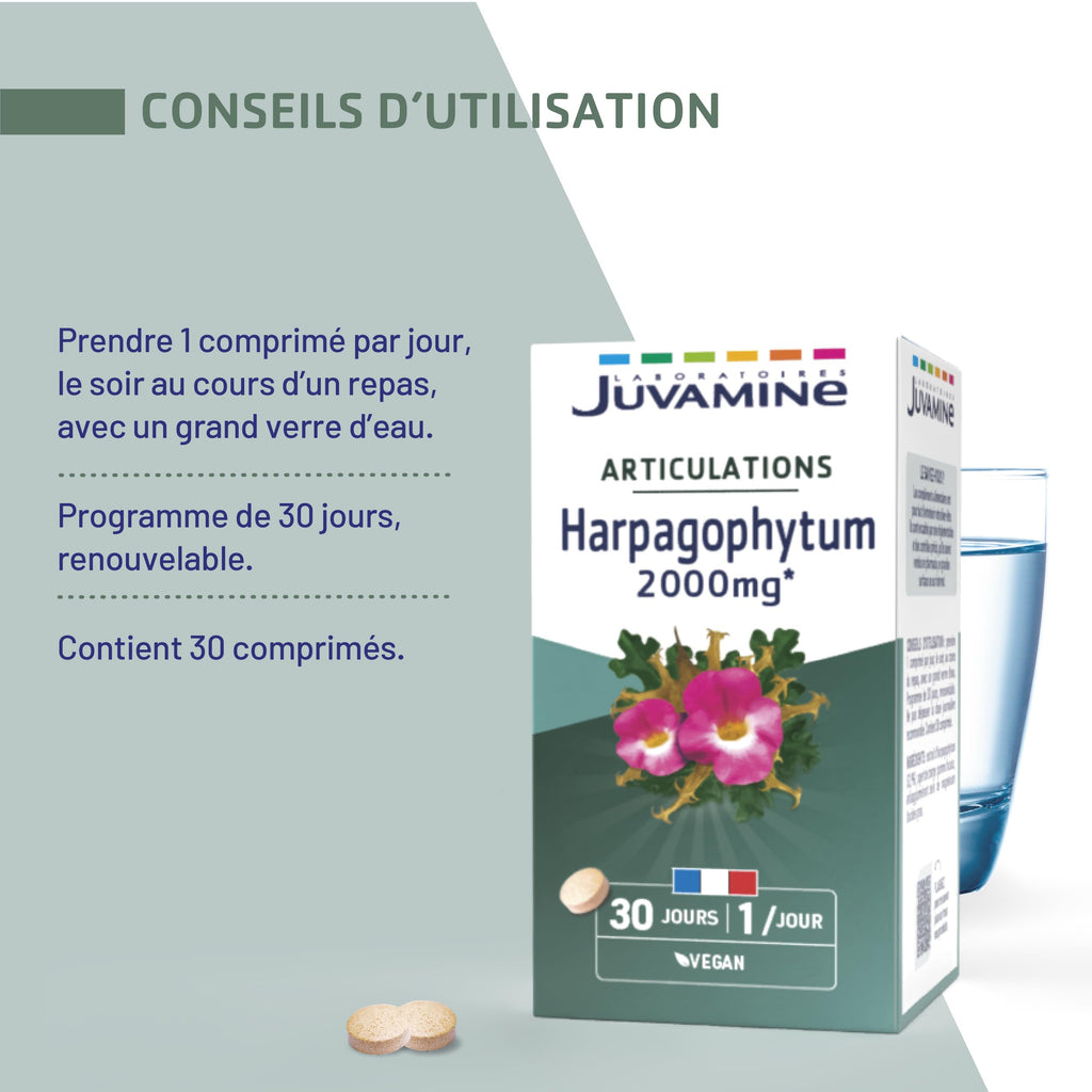 Harpagophytum and turmeric synergy