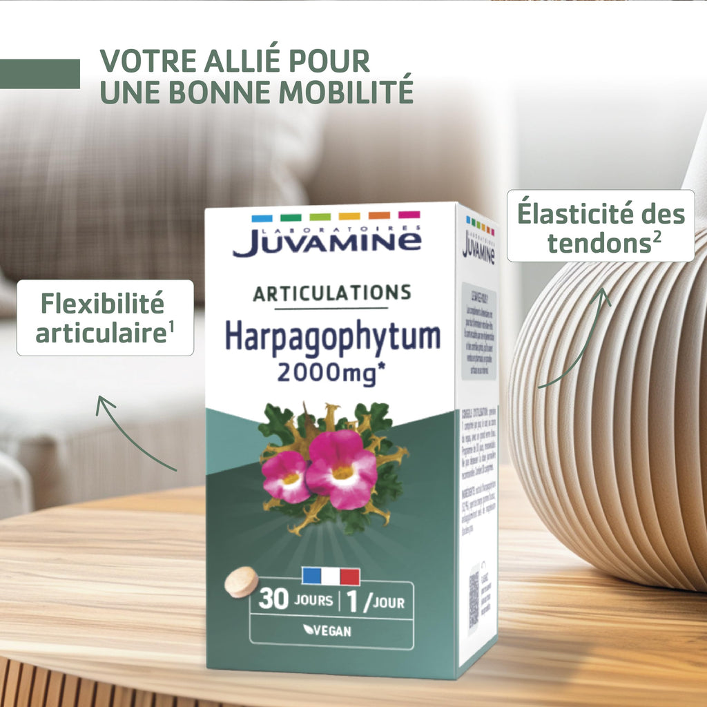 Harpagophytum with turmeric benefits