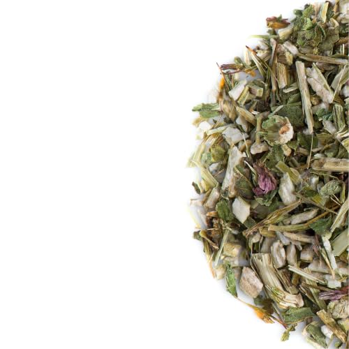 harvest echinacea seeds for planting