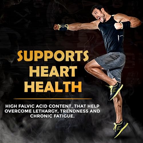 HAVASU Ayurveda Shilajit for endurance