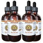 Hawaii Pharm astragalus liquid extract