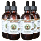 Hawaii Pharm cilantro glycerite extract