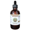 Hawaii Pharm dandelion extract benefits