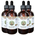 Hawaii Pharm dong quai herbal extract