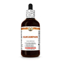 Hawaii Pharm Elecampane tincture benefits