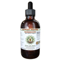 Hawaii Pharm Horehound Glycerite benefits