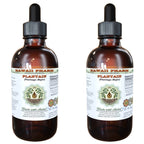 Hawaii Pharm plantain herbal extract