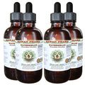 Hawaii Pharm Watermelon Glycerite benefits