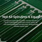 Hawaiian spirulina for vibrant skin