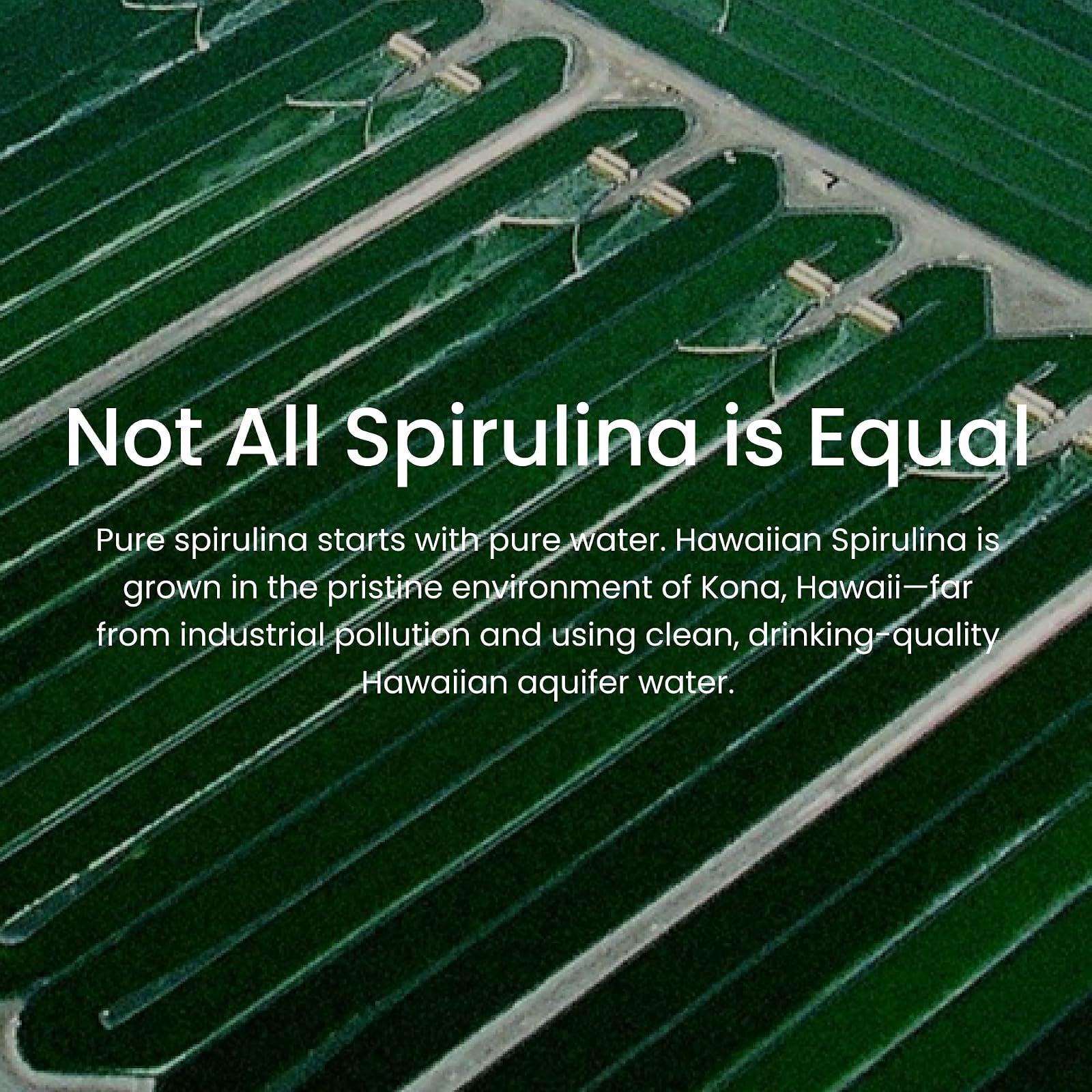 Hawaiian spirulina for vibrant skin