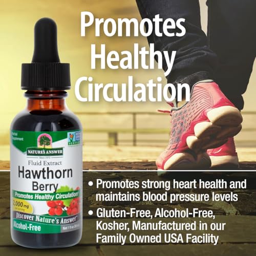 hawthorn berries promote cardiovascular health