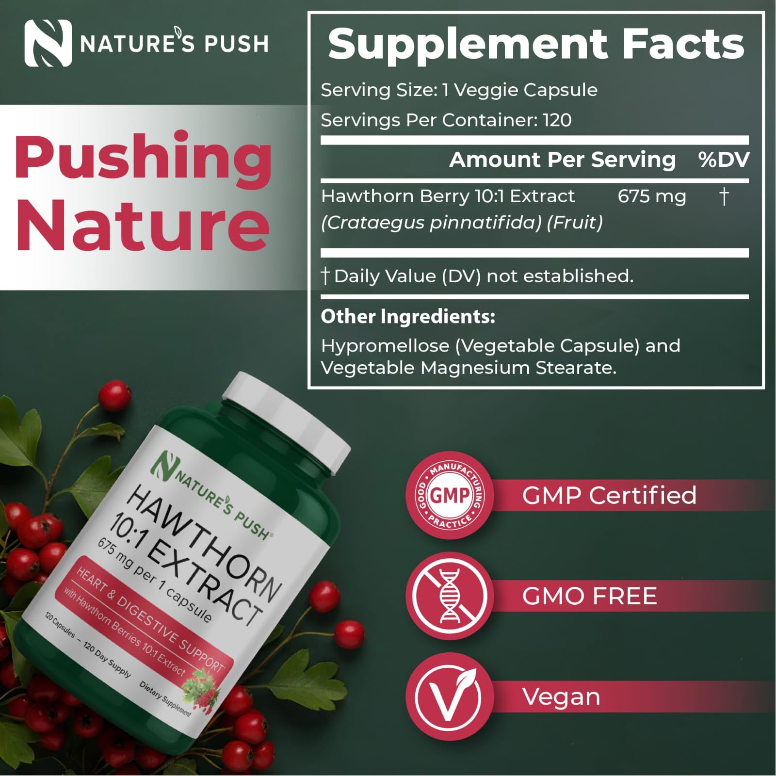 Hawthorn berry 675 mg dosage