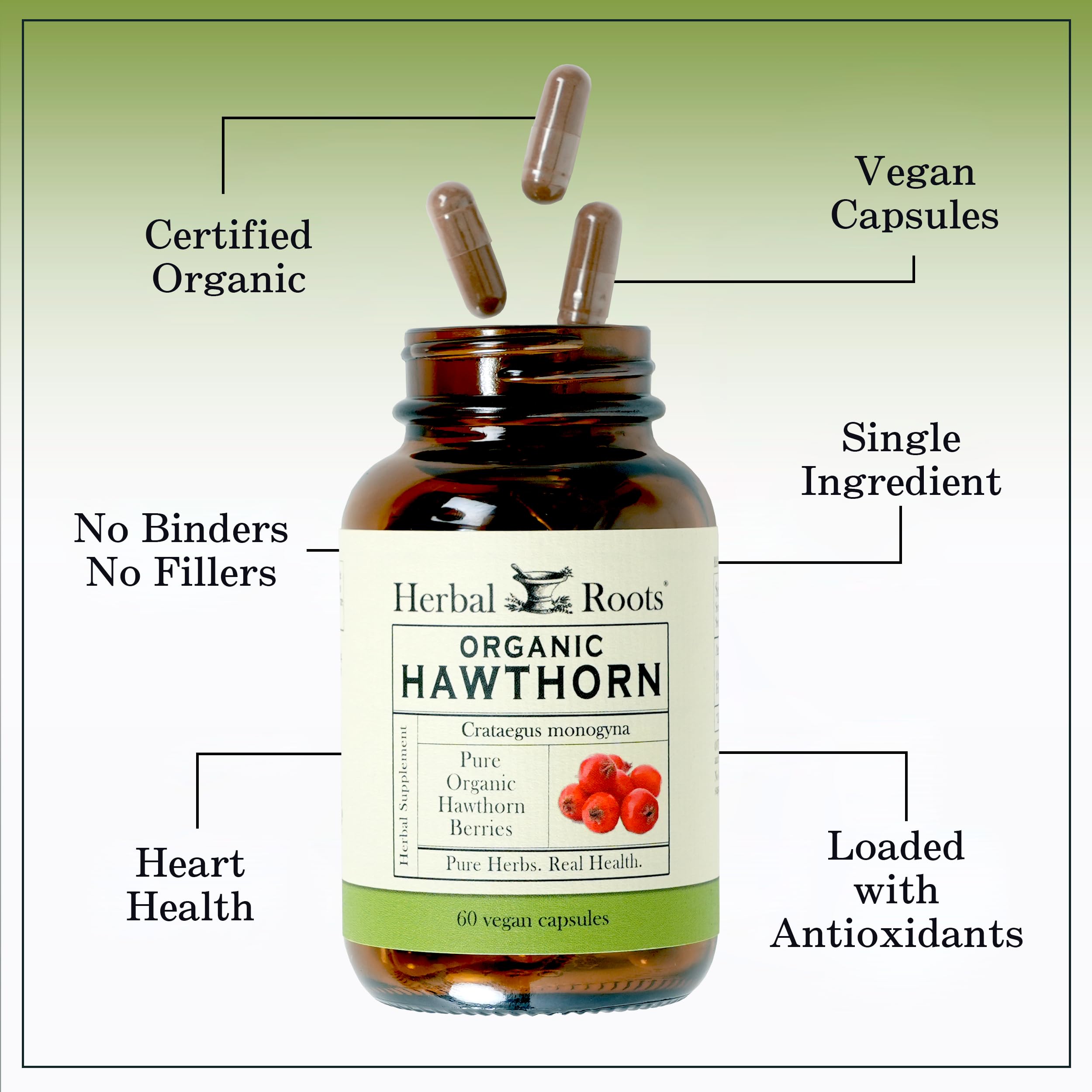 Hawthorn berry capsules for daily health
