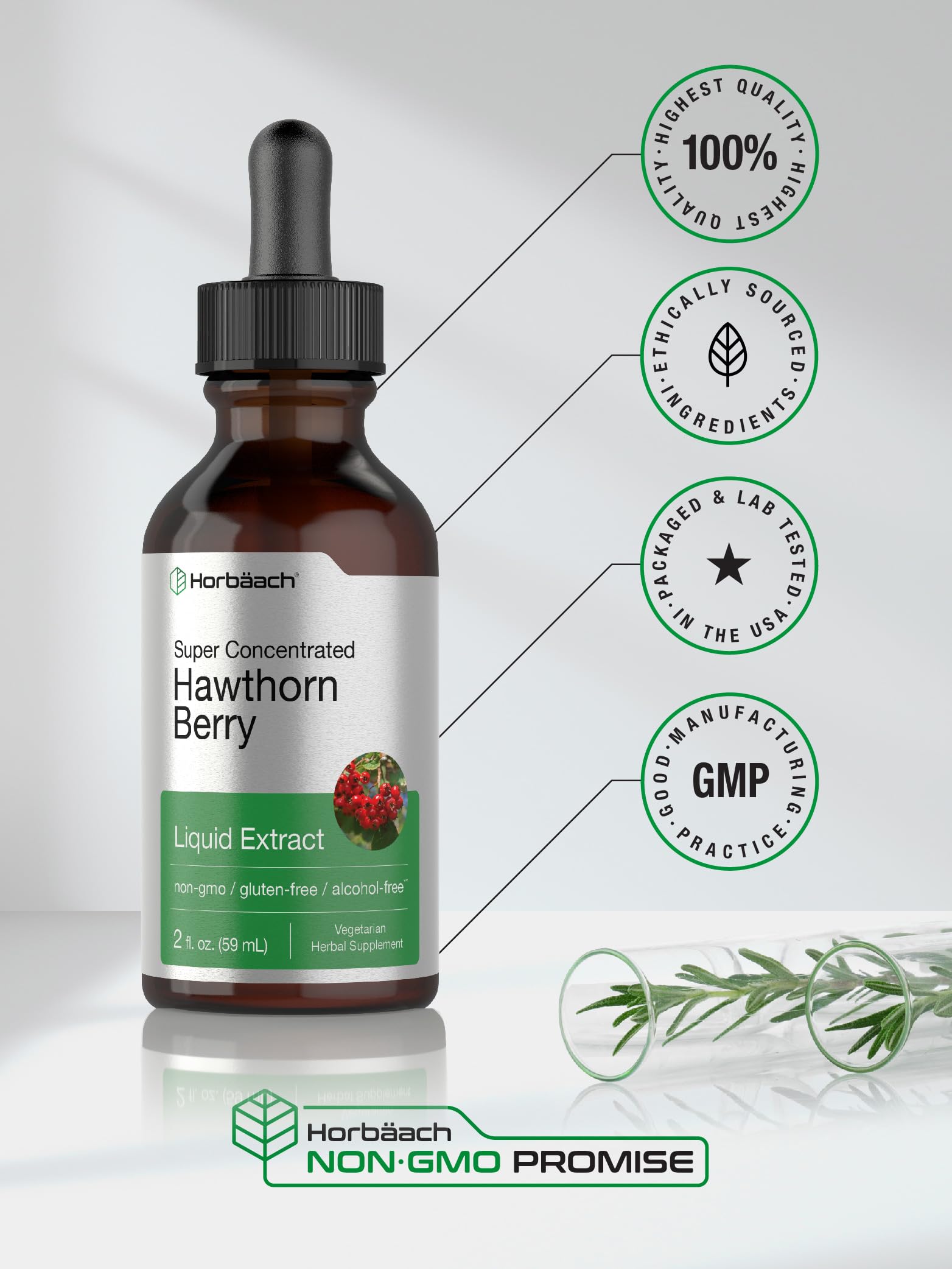 Hawthorn berry extract for digestive health