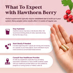Hawthorn berry extract for vitality