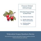 Hawthorn Berry for cardiovascular wellness