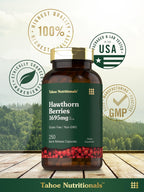 Hawthorn berry for improved circulation