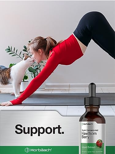 Hawthorn berry tincture for immune boost