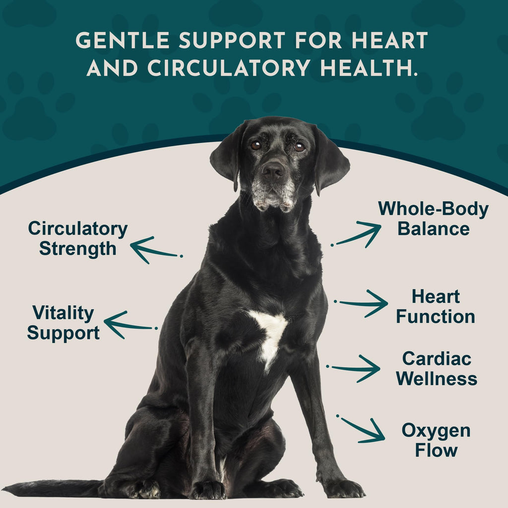 Hawthorn extract for canine wellness