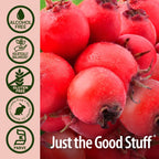 Hawthorn extract for digestive support
