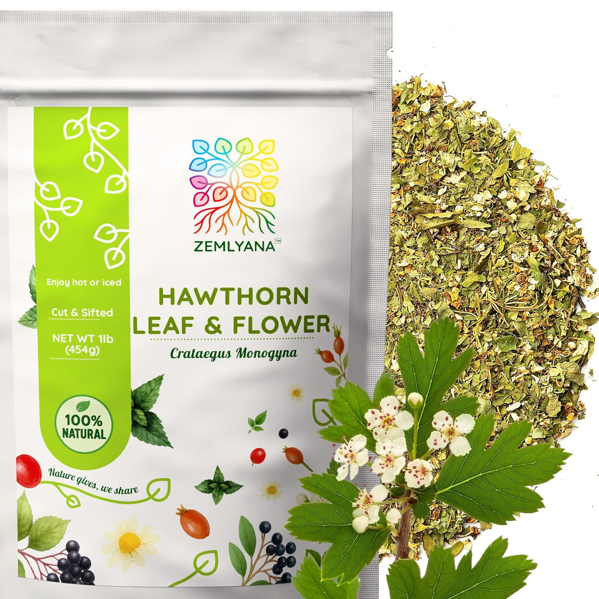 Hawthorn leaf and flower tea benefits