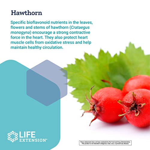 Hawthorn supplement for overall vitality