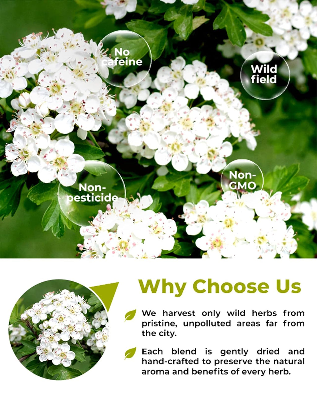 Hawthorn tea for daily detox