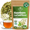 Hawthorn tea for heart health