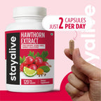 Hawthorne berry for daily vitality