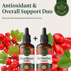 Hawthorne berry tincture for digestive support