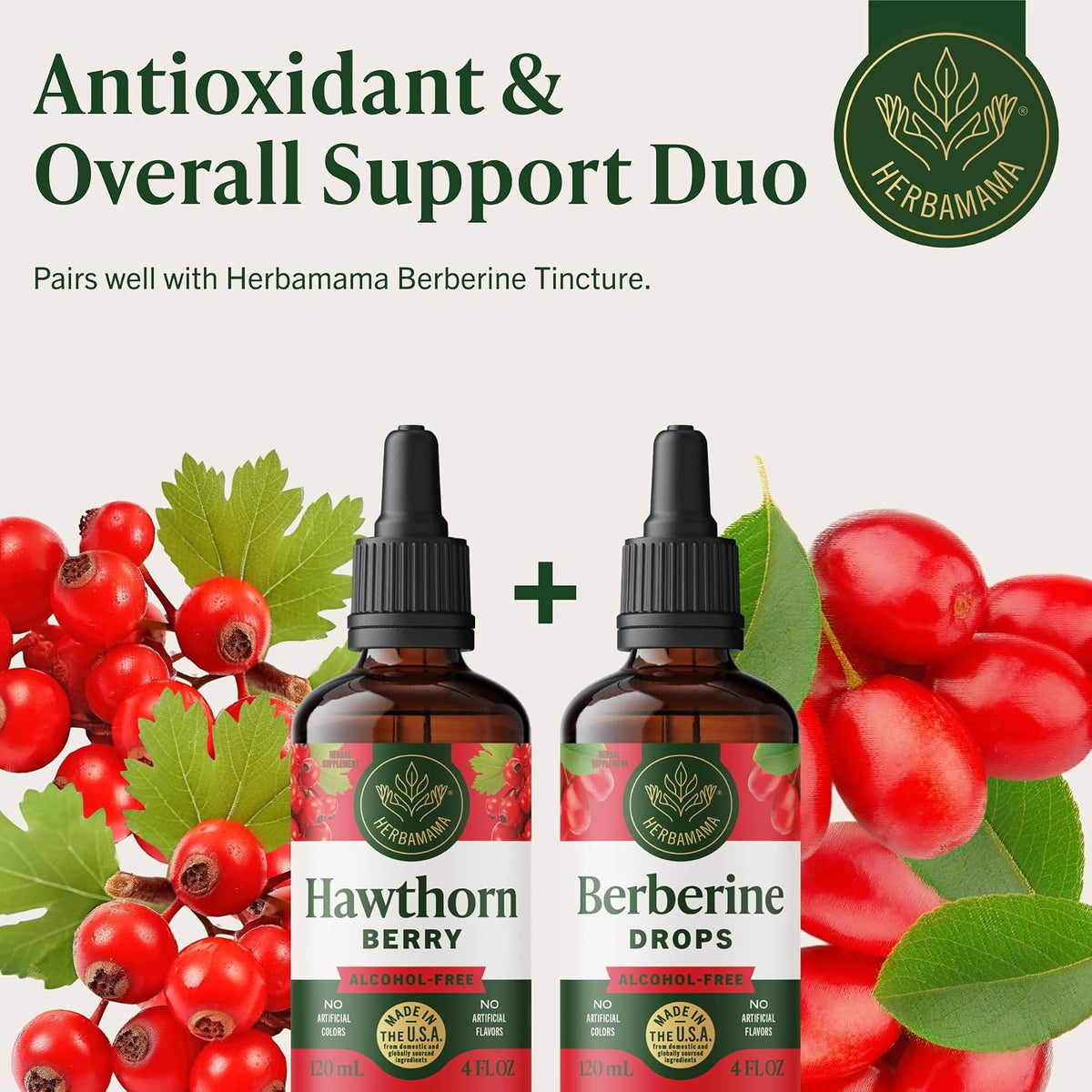 Hawthorne berry tincture for digestive support