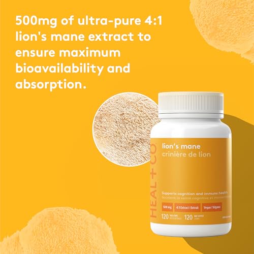 HEAL Lion's Mane for focus and memory